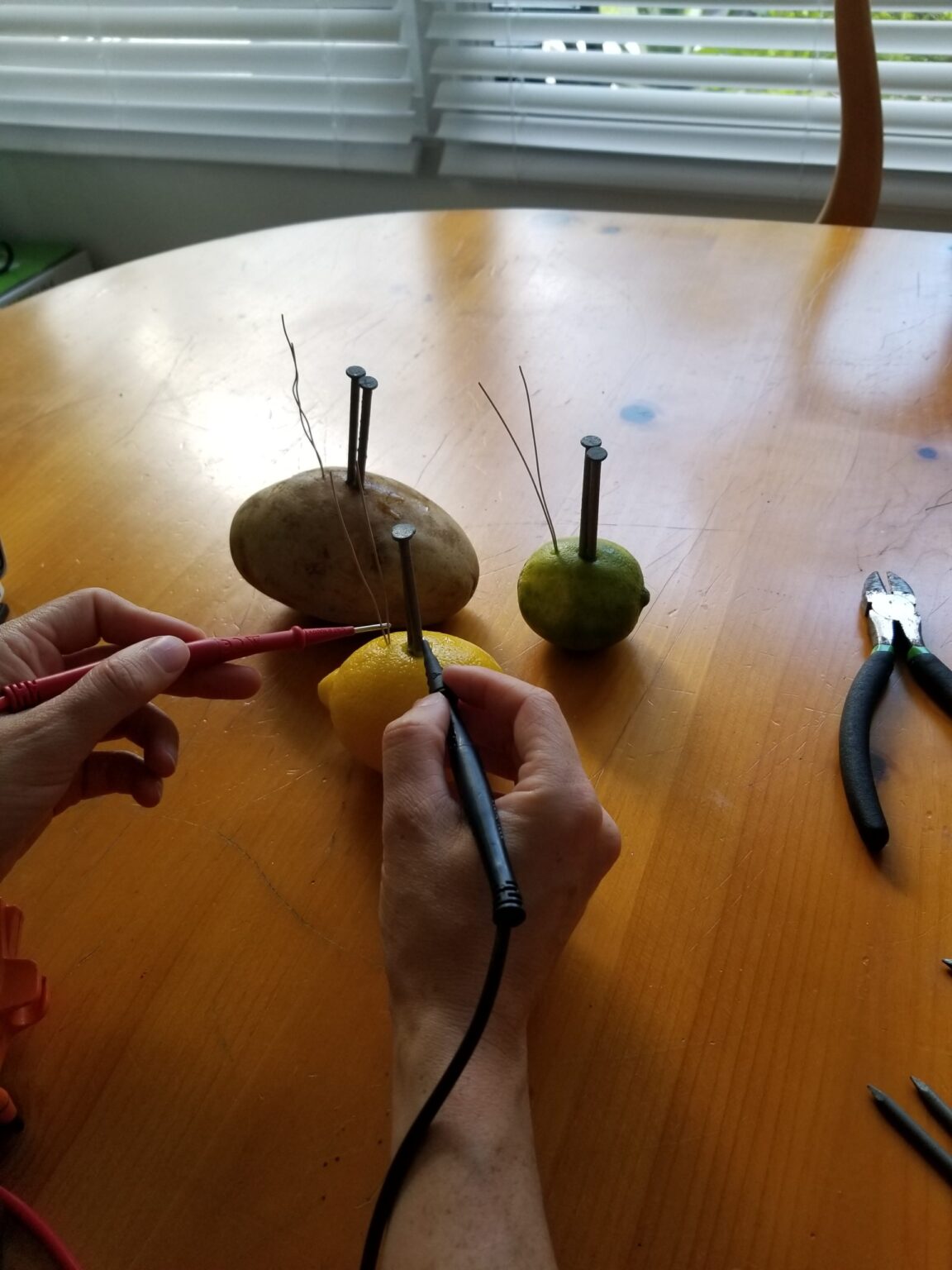 Make Your Own Battery Experiment - Science Center: Home Experiments For ...