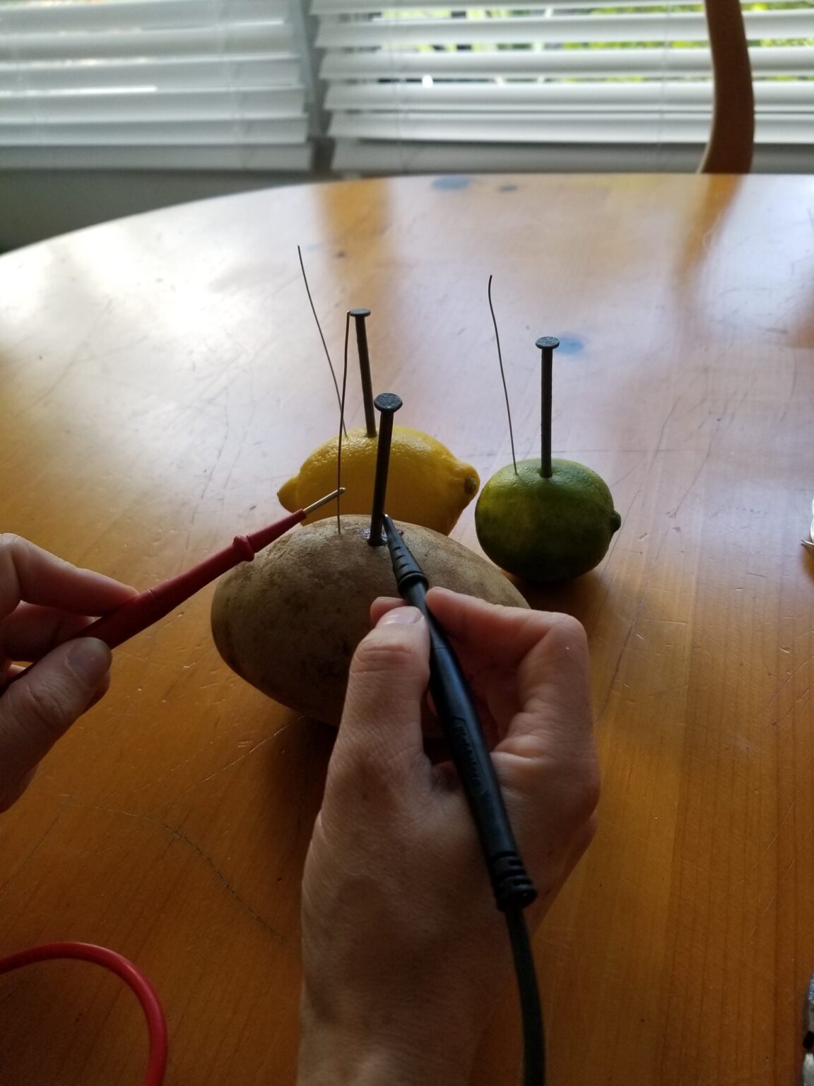 Make Your Own Battery Experiment - Science Center: Home Experiments For ...